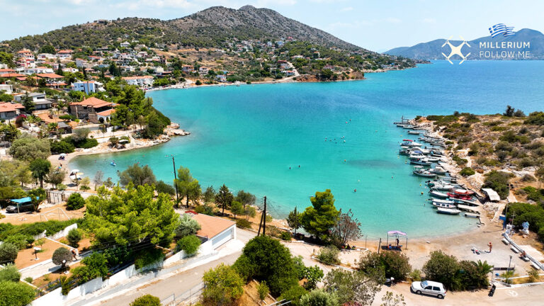 Η παρεξηγημένη Σαλαμίνα κρύβει θησαυρούς - Ξεχωρίζει η Ηλιακτή με τα ...