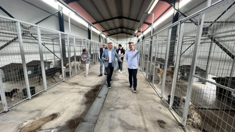Ο δήμος Τρίπολης έχει ένα από τα καλύτερα καταφύγια αδέσποτων ζώων ...